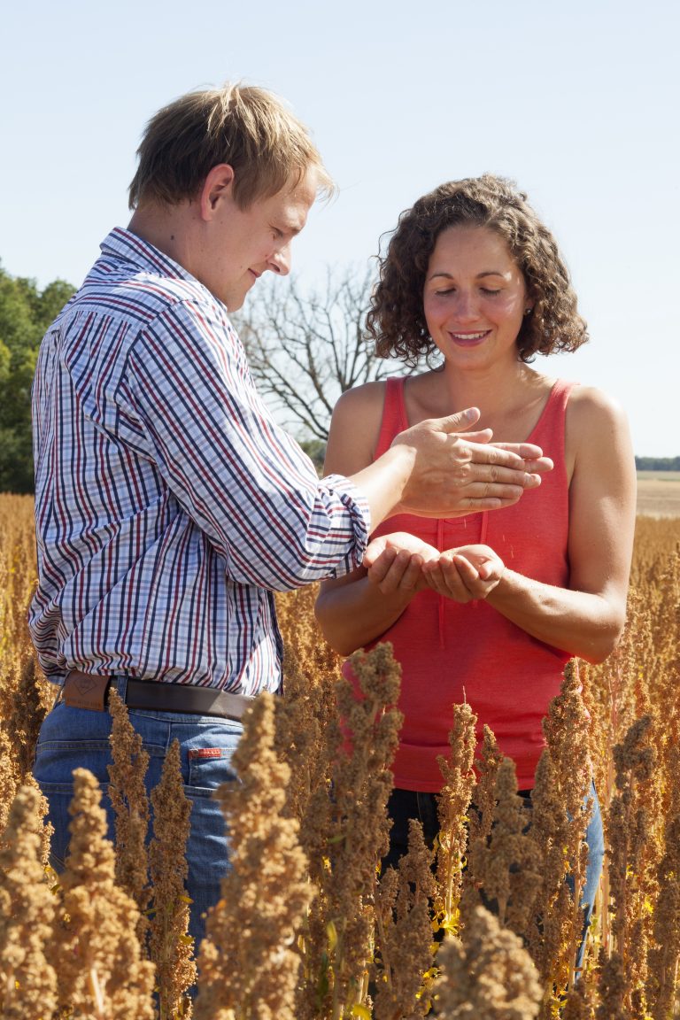 Berry Graines devient le 1er producteur français d'amarante ...