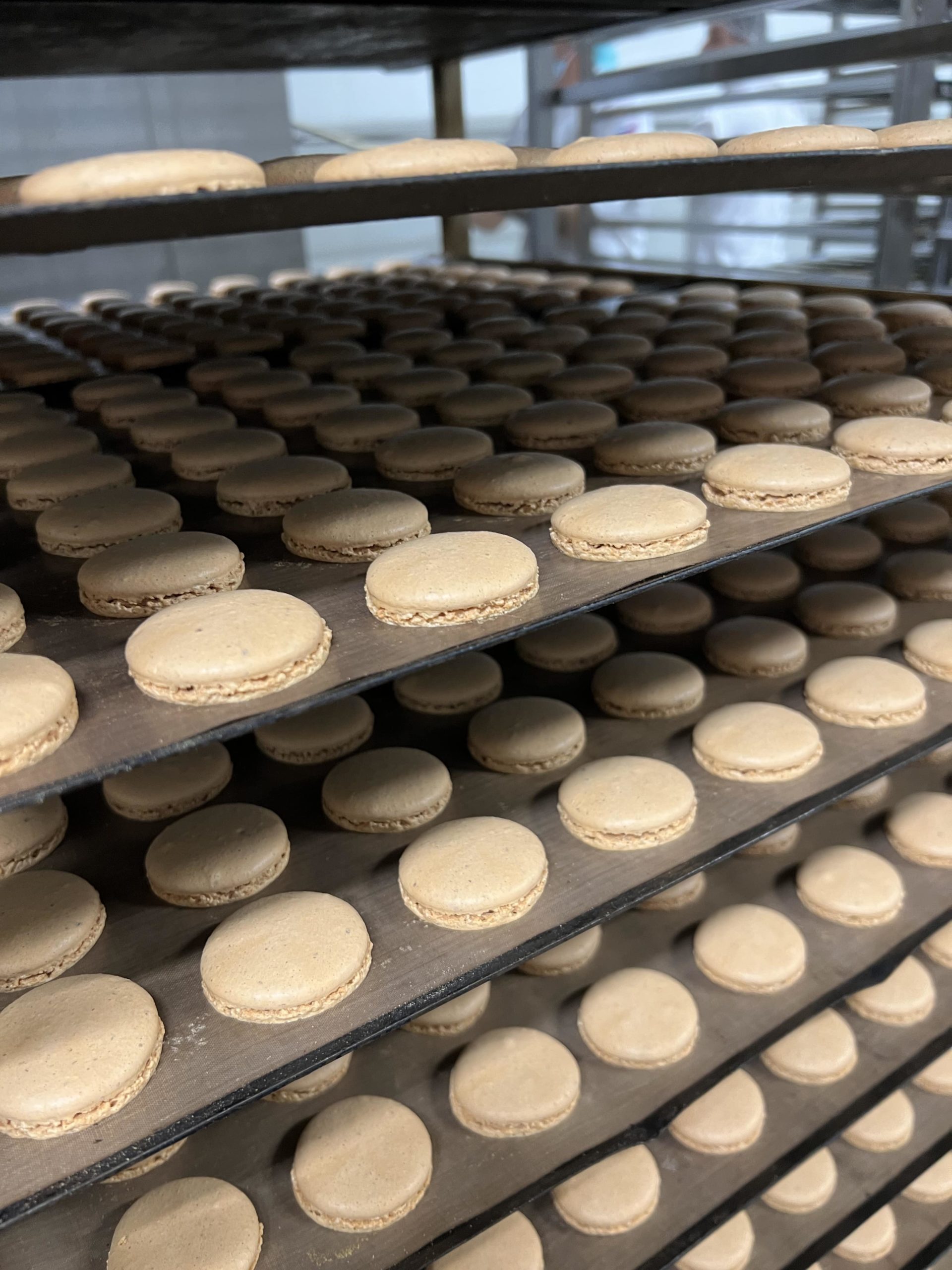 Feuillette dévoile son nouvel atelier de production près de Blois ...